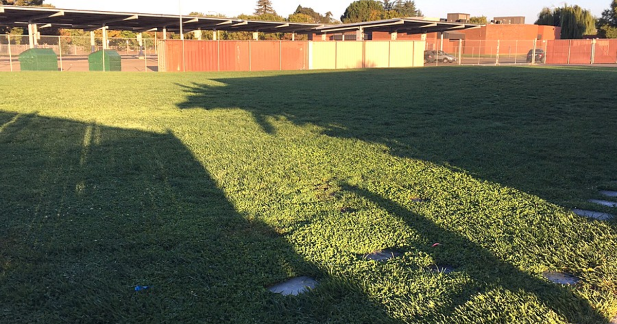 Rent Field - Practice in Stockton