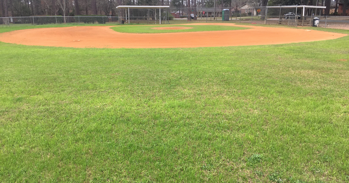 Rent Field - Baseball in Albany