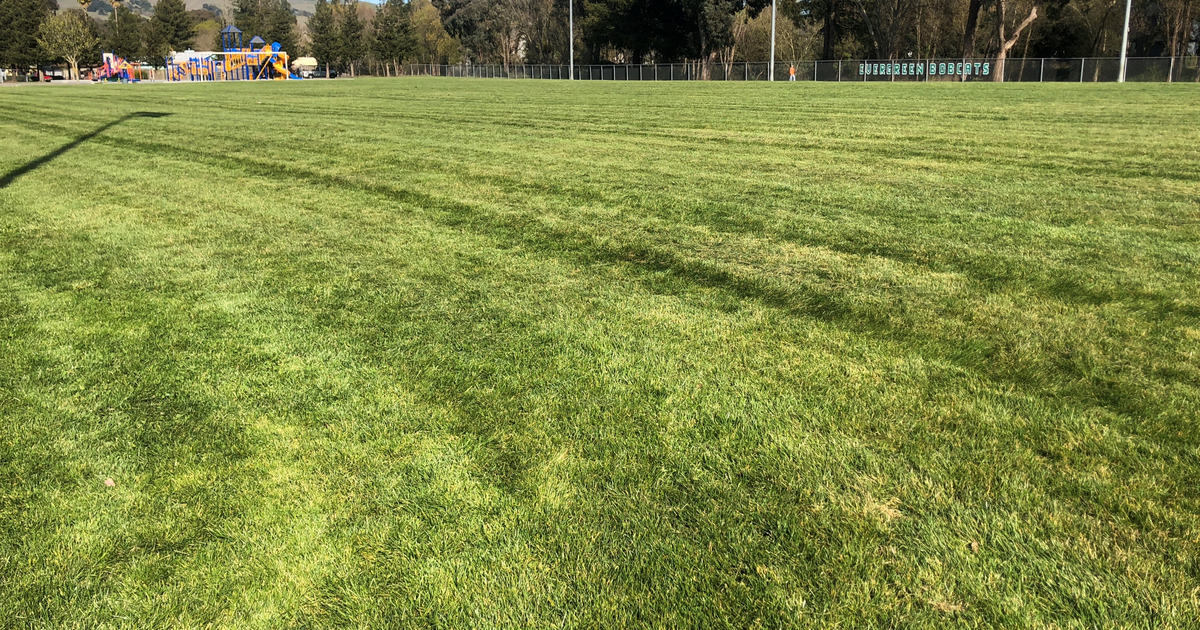 Rent Field - Practice in Rohnert Park