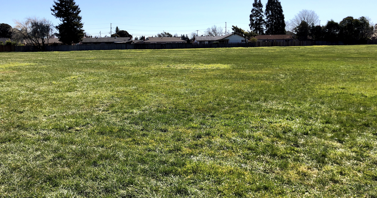 Rent Field - Softball in Rohnert Park