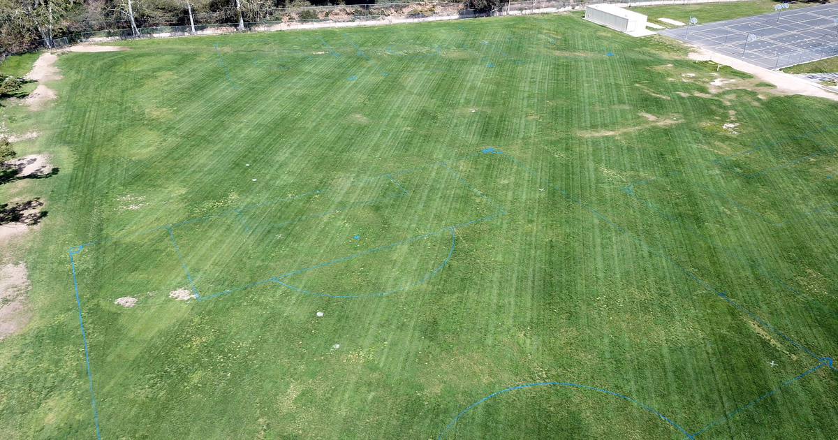 Rent Field 5 in Valencia