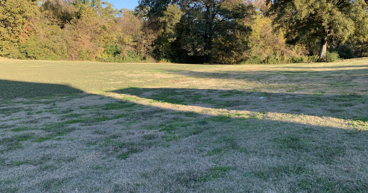 Rent Field - Practice in Memphis