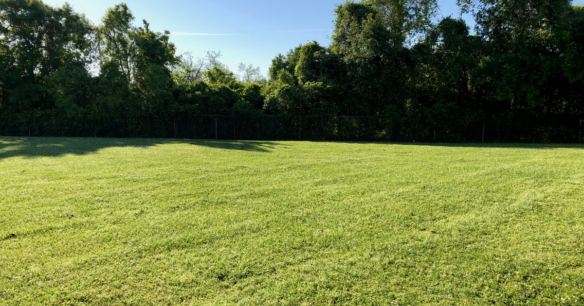 Rent Field - Practice in Sugar Land