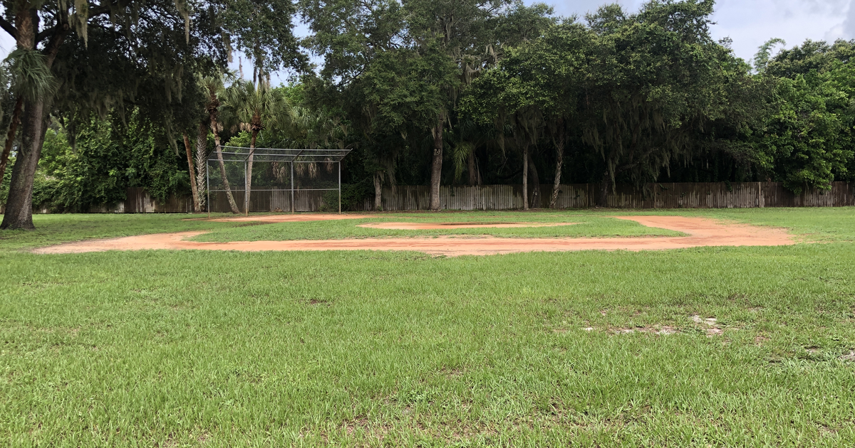 Rent Field - Baseball in Palmetto