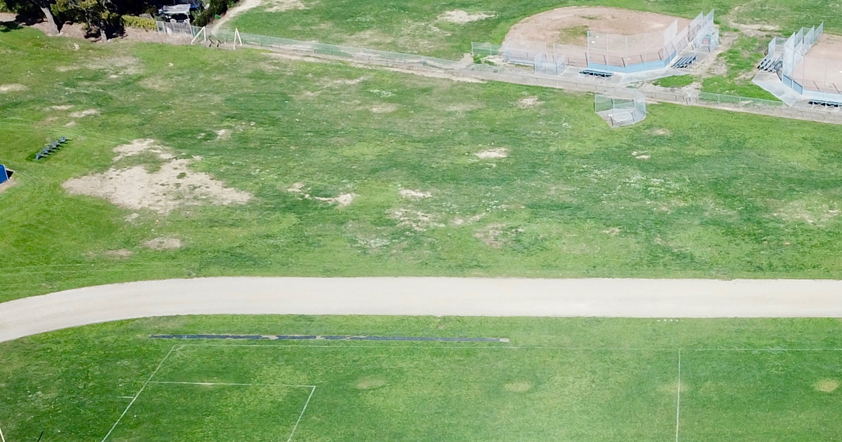 Rent Field - Playfield in Fremont