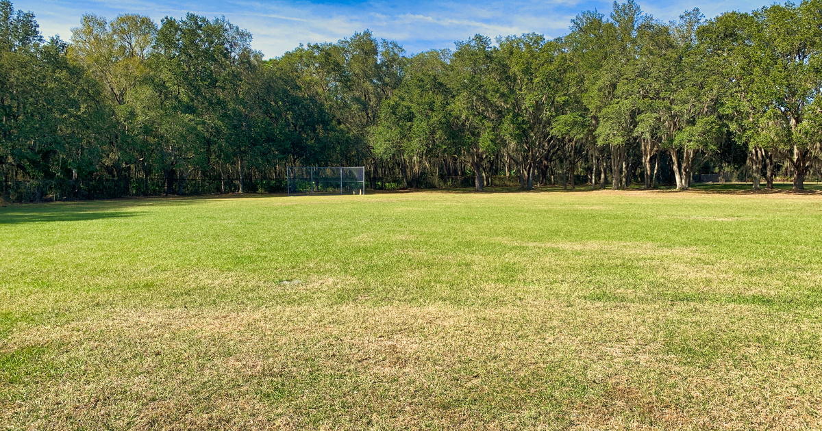 Rent Field - Practice in Tampa