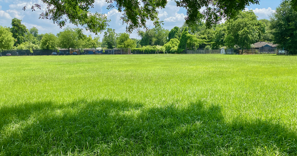 Rent Field - Practice 1 in Houston