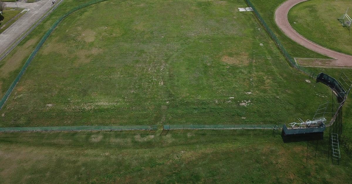 Rent Field - Baseball in Houston