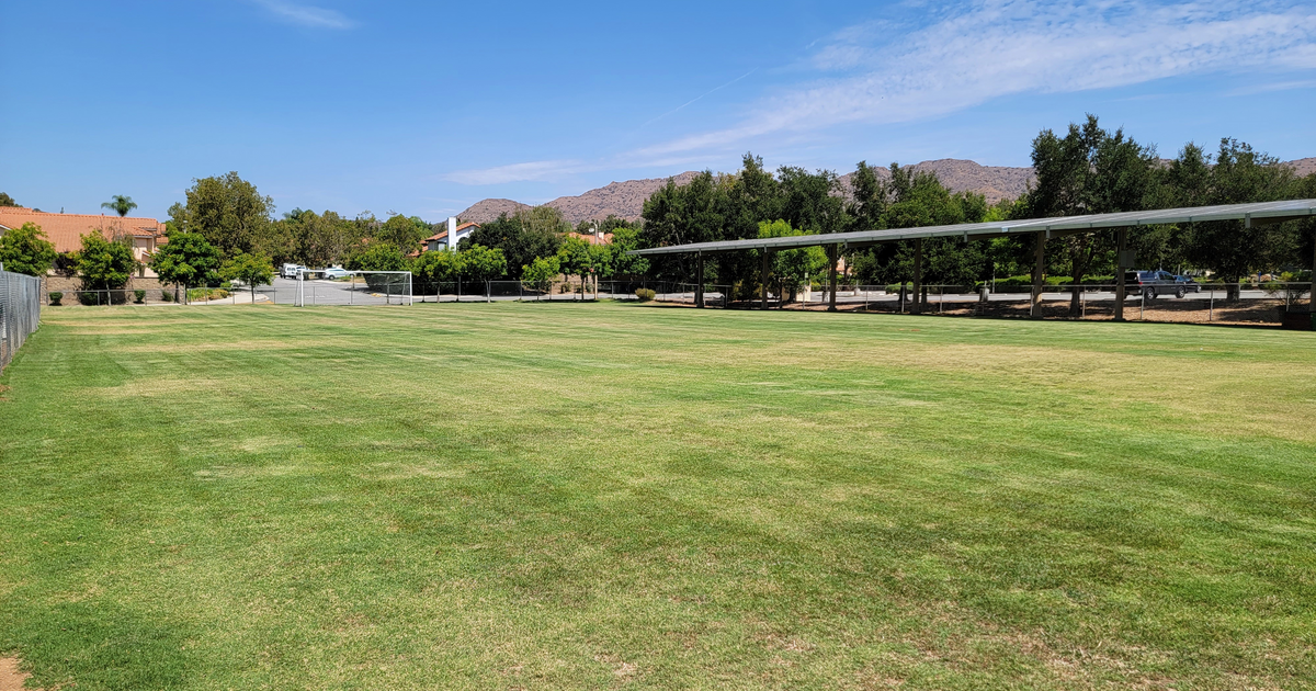 Rent Field - Grass in Oak Park