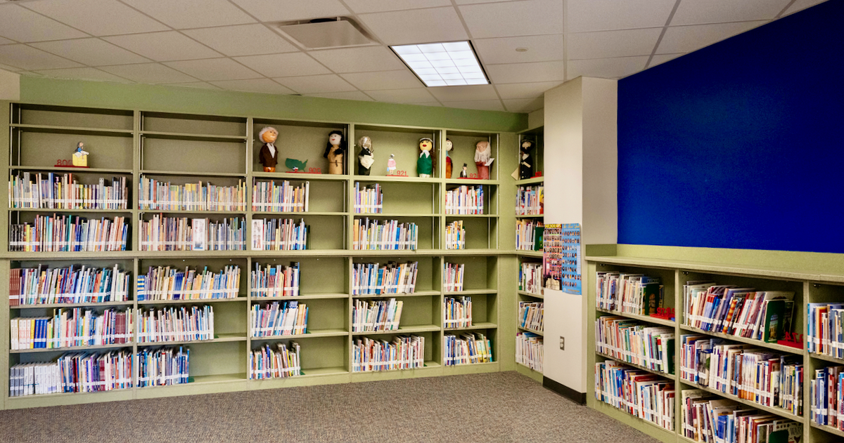 Rent Library in Klein