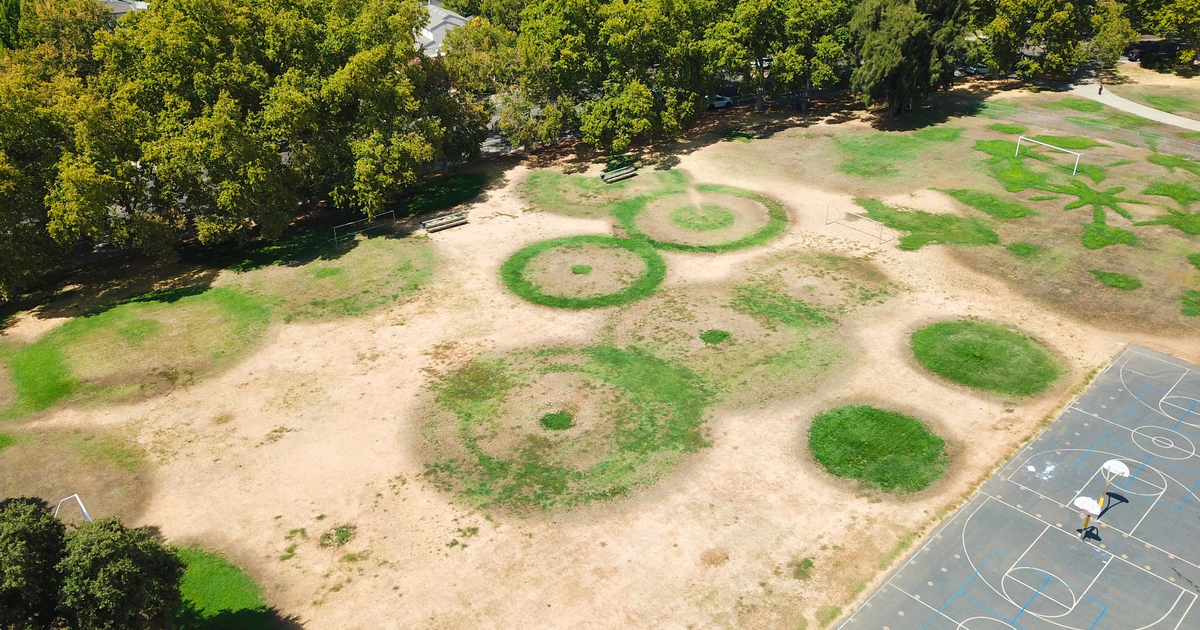 Rent Field - Soccer in Sacramento