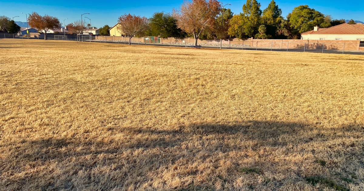 Rent a Field (Small) in Las Vegas NV 89130